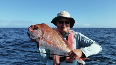 Review: Jigstar Slow Jerk Rods