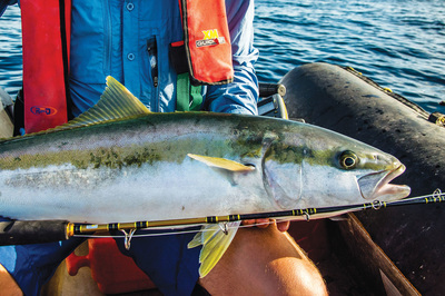 Review: CATCH PRO SERIES JIG ROD